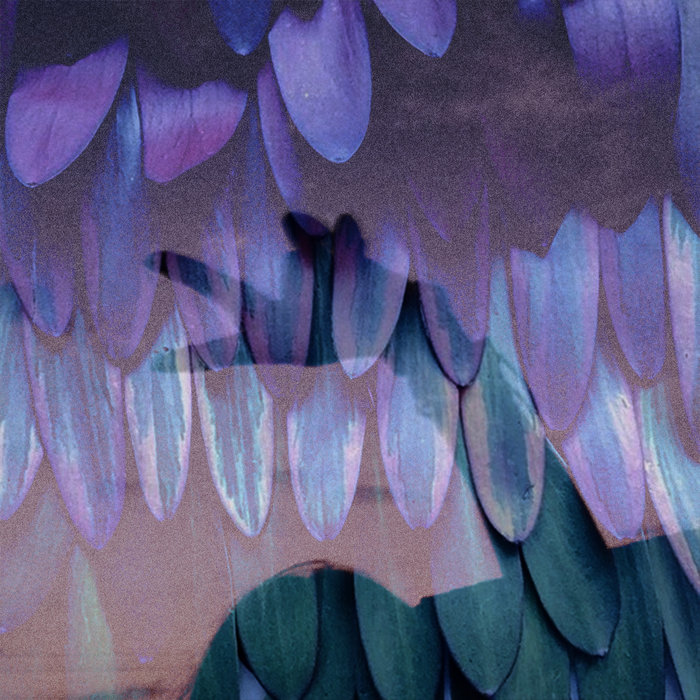 Flowers of Our Youth | Kishmere