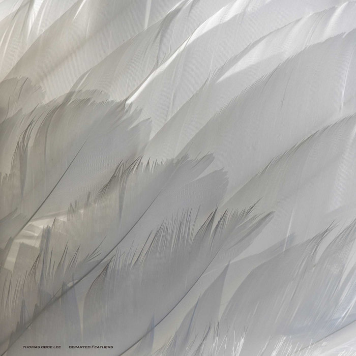 Departed Feathers (1984) | Thomas Oboe Lee