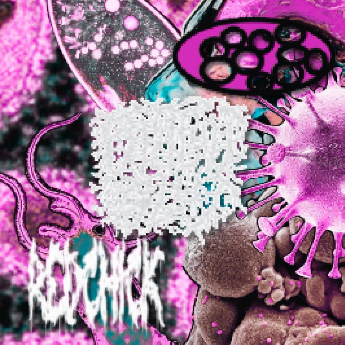 MAGGOT INFESTATION | REDCHICK | BISCUITSLUT
