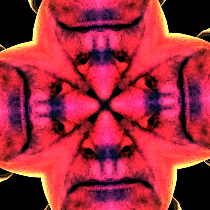 ABSOLUTELY BONKERS | RAY COYLE