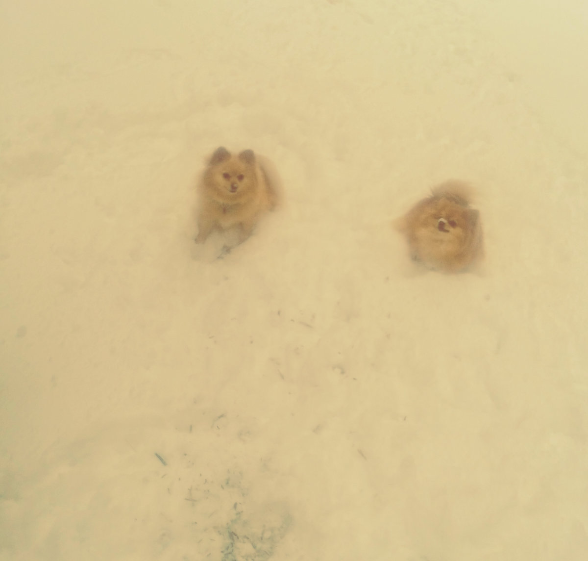 Battles In The Snow | Kevin Drumm | kevin drumm