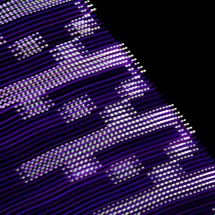 2021 collection | 2chill