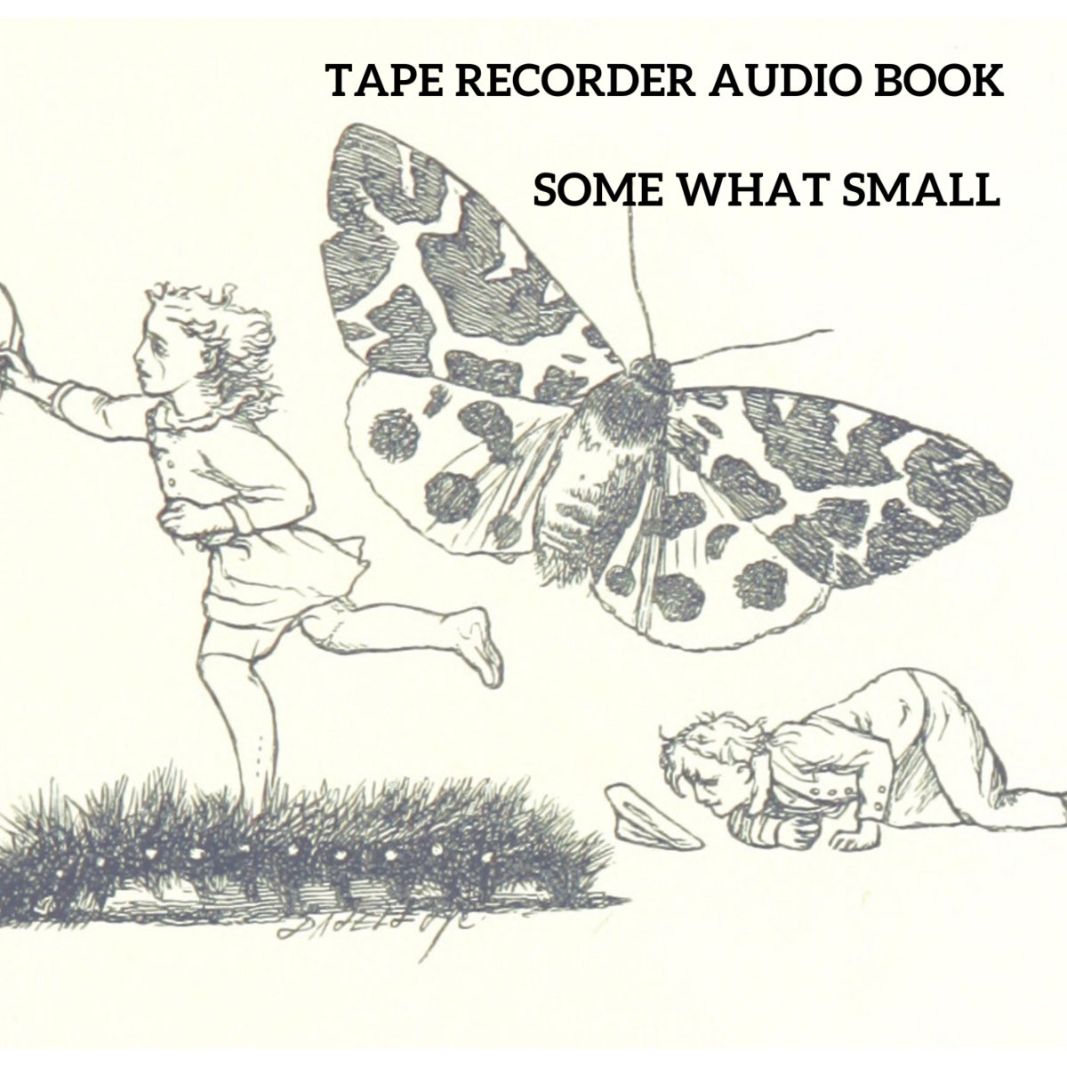Some What Small Audio Book | Trev Cimenski