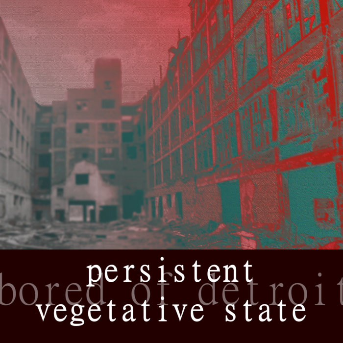 Persistent Vegetative State | Bored of Detroit | Cold Records
