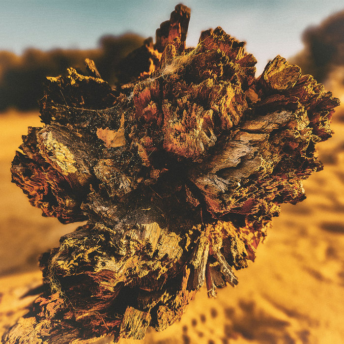 Violate Consensus Reality - Acoustic Version | PSYCHONAUT