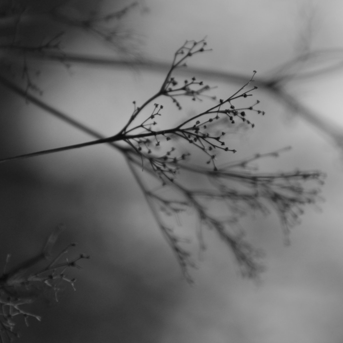 What Matters Most | dakota suite