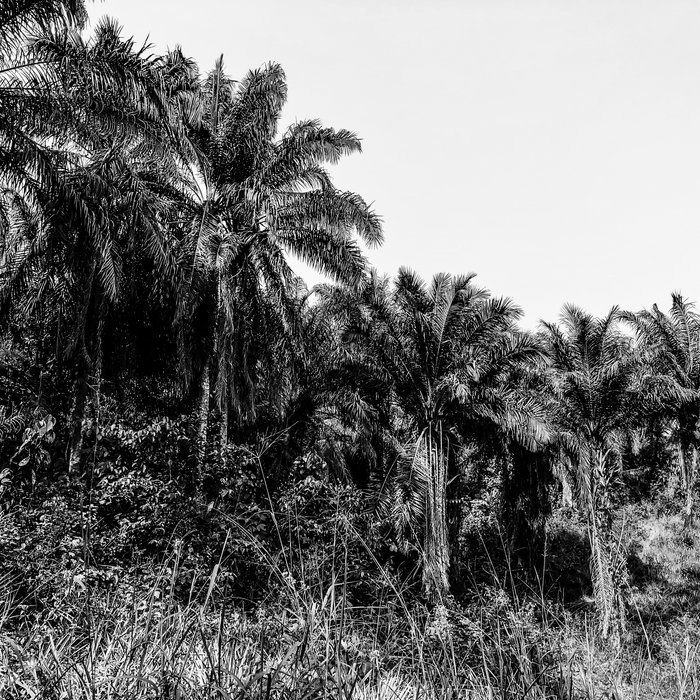 Outside | Njaro