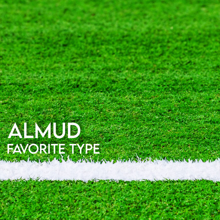Favorite Type | Almud