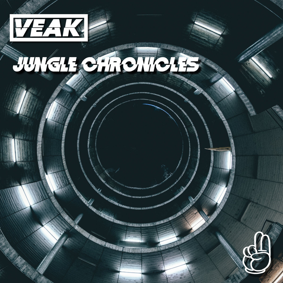 Veak - Jungle Chronicles (DSS002) | Veak Music