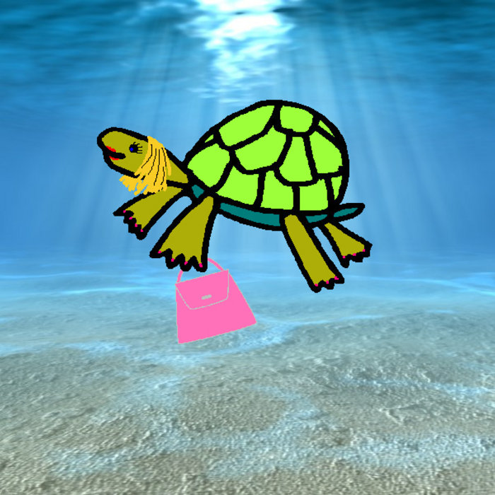 Stacey the Turtle | N.H.F.S.