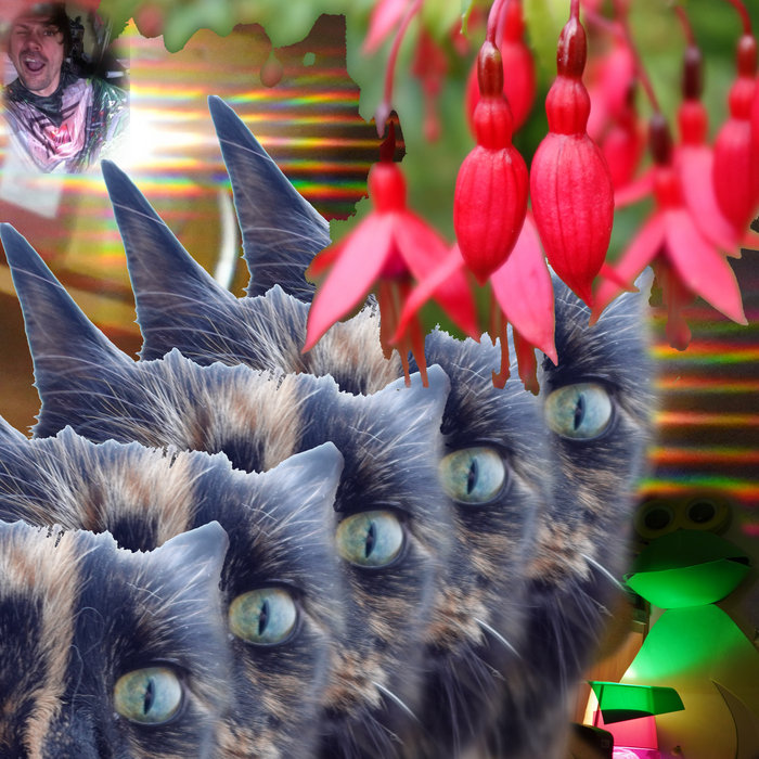 Grace In Symmetry | HORTON JUPITER