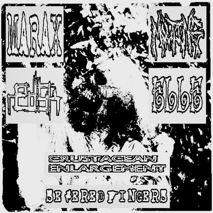 6 Way Split | Marax