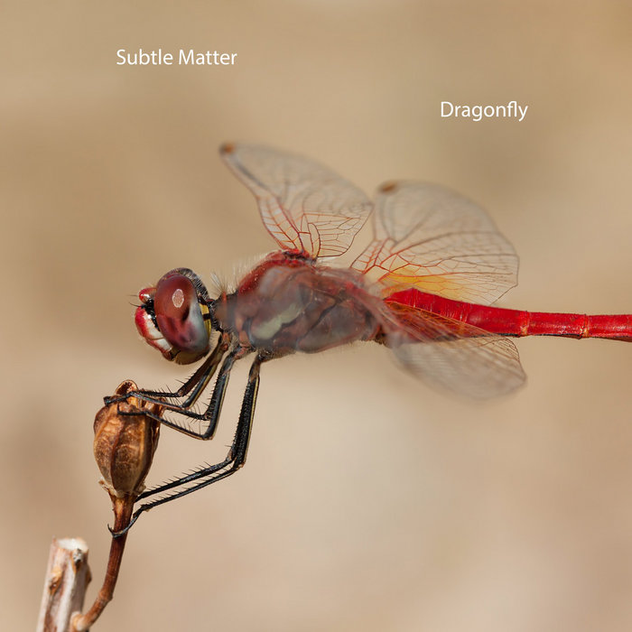 Dragonfly | Subtle Matter