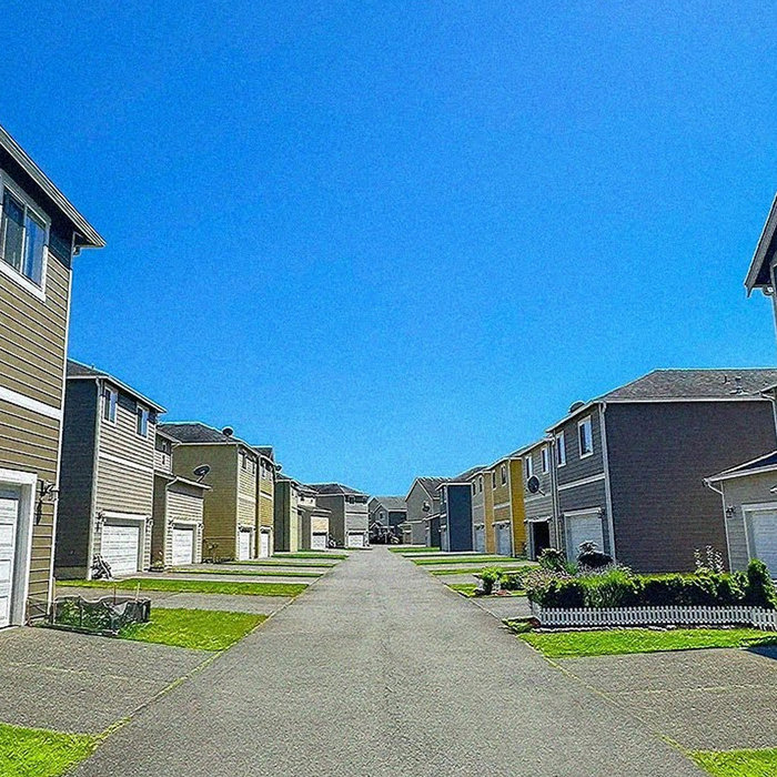 neighborhood. | Odd Behavior