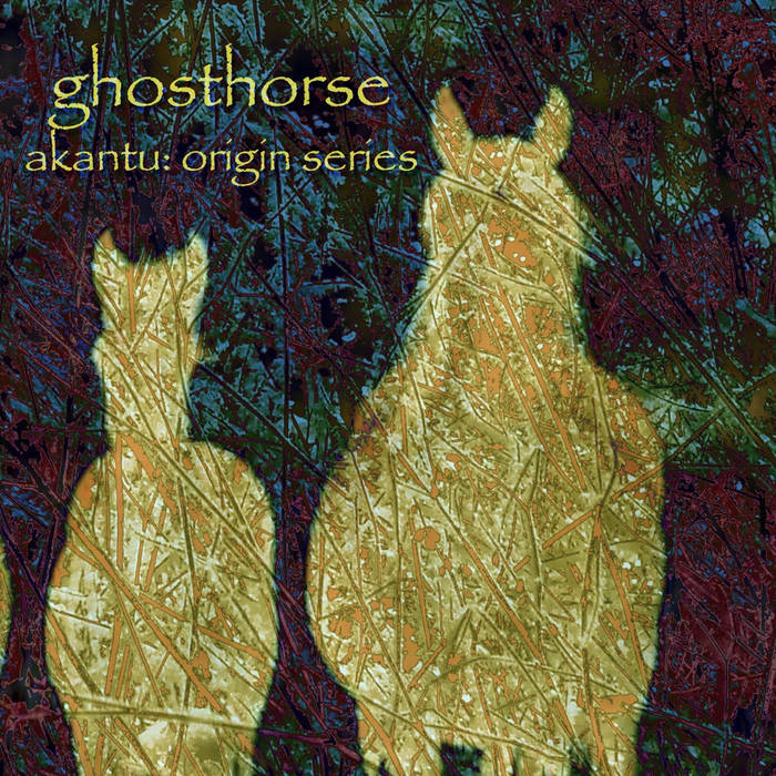 Akantu: Origin Series | Tiokasin Ghosthorse