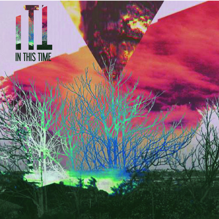 Negative Dimension | Pheasant X