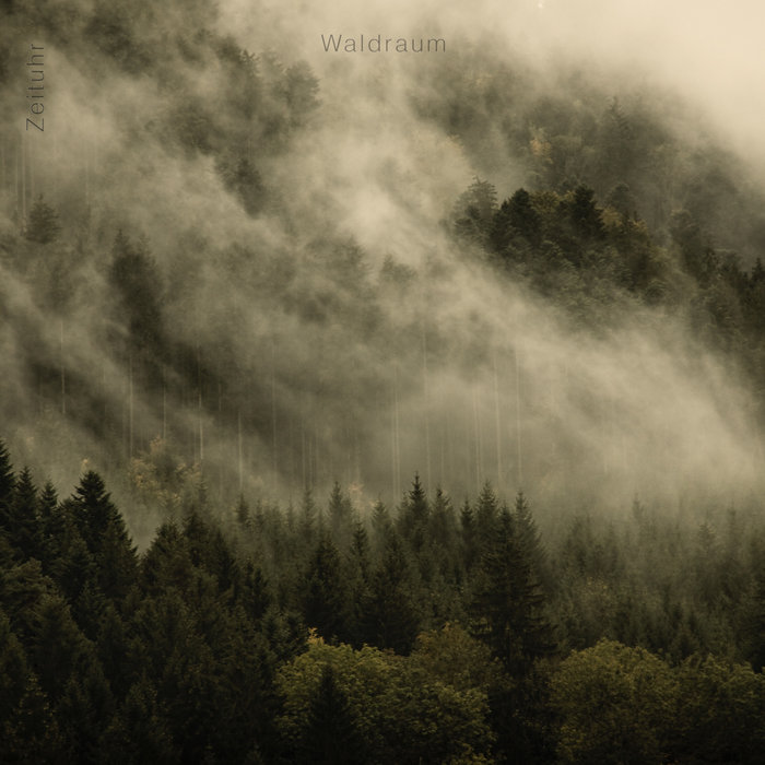 Waldraum | Lars Tellmann | Aural Films