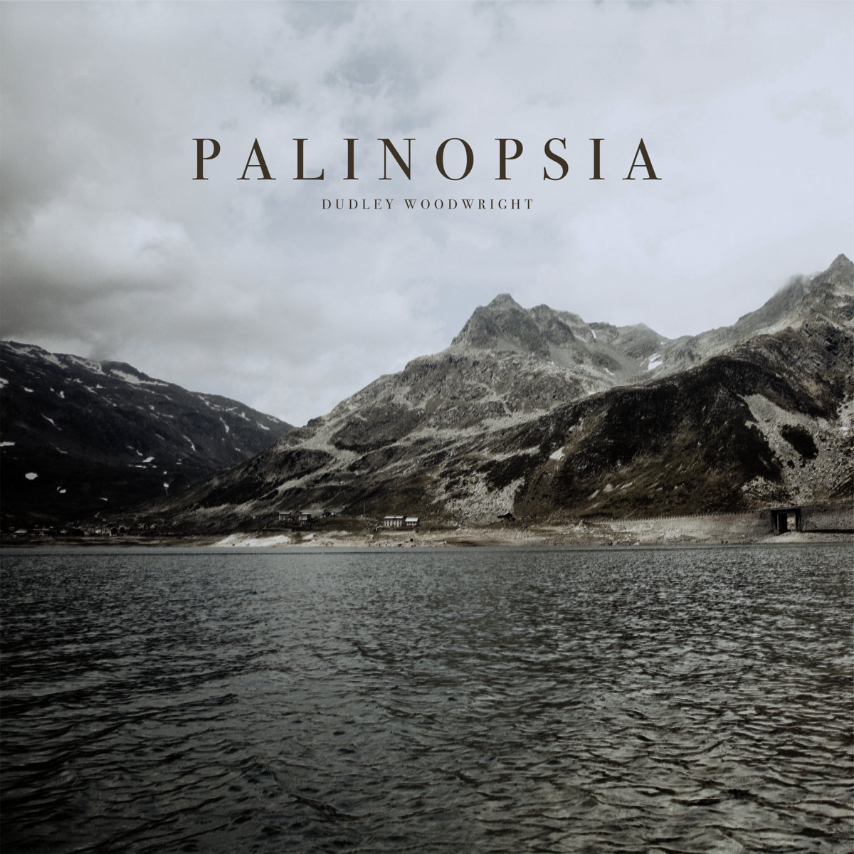 Palinopsia | Dudley Woodwright