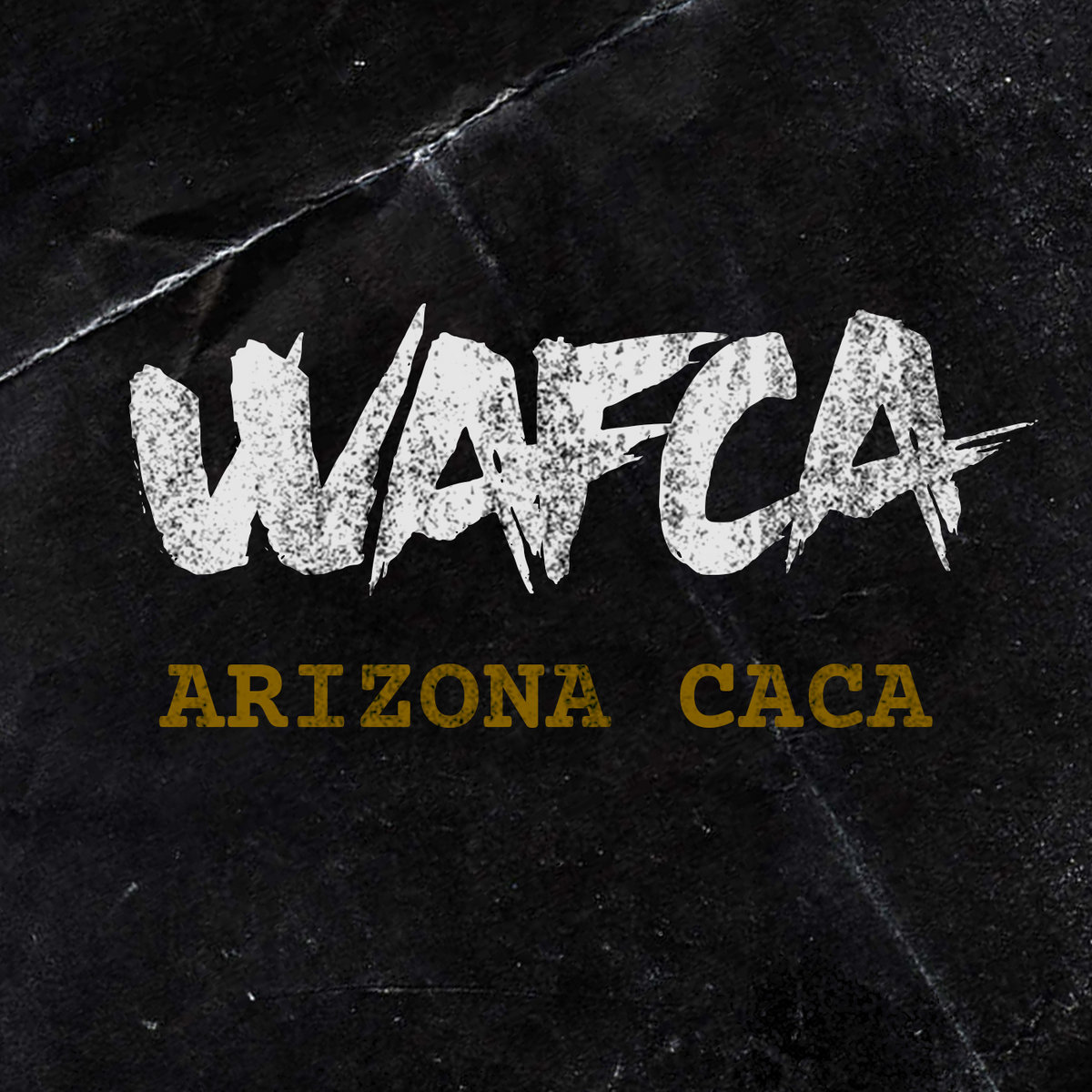 Arizona Caca | WAFCA