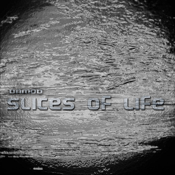 Slices of Life | Damod