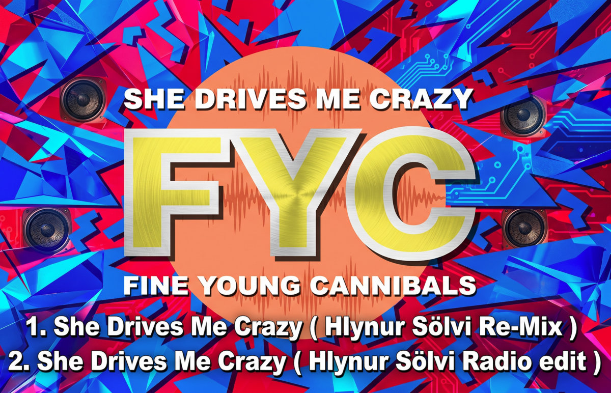 Fine Young Cannibals - She Drives Me Crazy ( Hlynur Sölvi Re-Mix ...