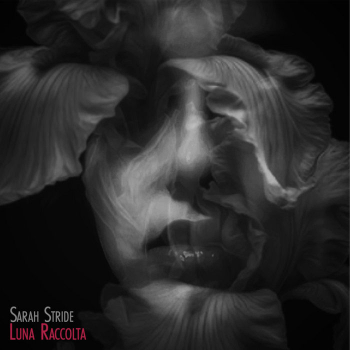 Luna Raccolta (HD) | Sarah Stride