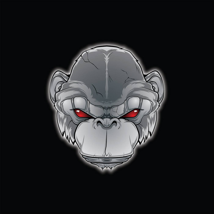 Monkey Okay | Monkey Okay