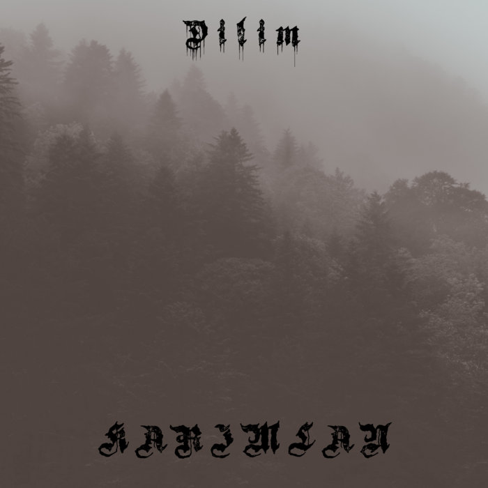 KARIMLAN | Dilim | dilim