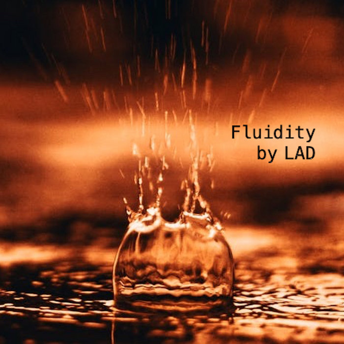 Fluidity | Ladd Allen Doane