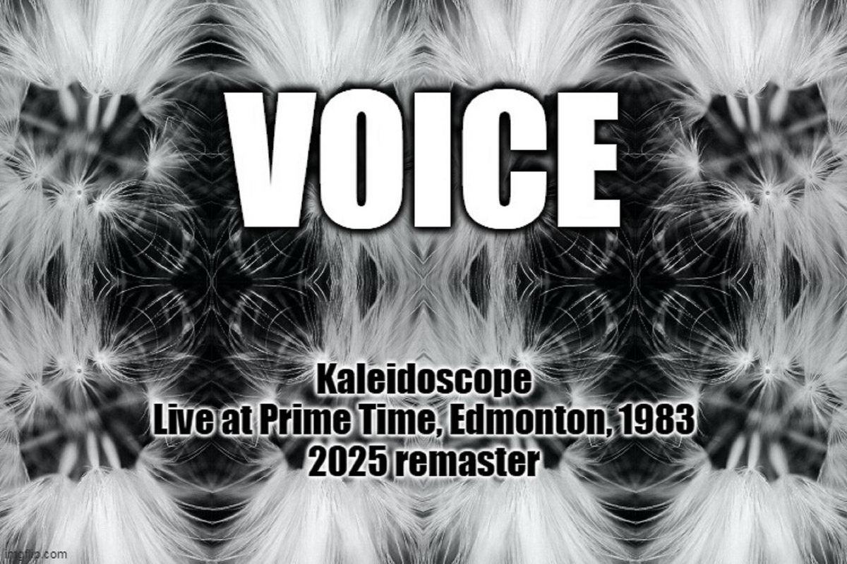 VOICE - Kaleidoscope ft. Dwayne Goettel. Live at PrimeTime, Edmonton ...