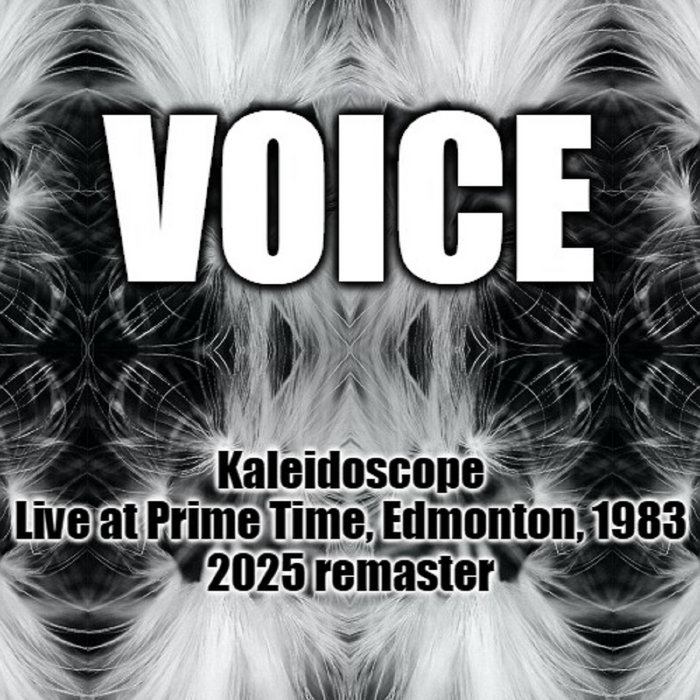 VOICE - Kaleidoscope ft. Dwayne Goettel. Live at PrimeTime, Edmonton ...