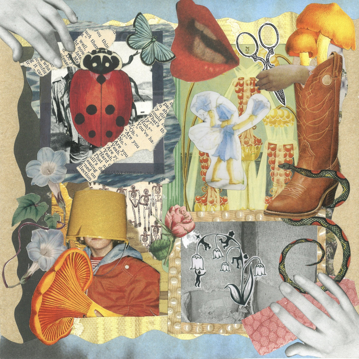 Looking for Signs | Bellflower