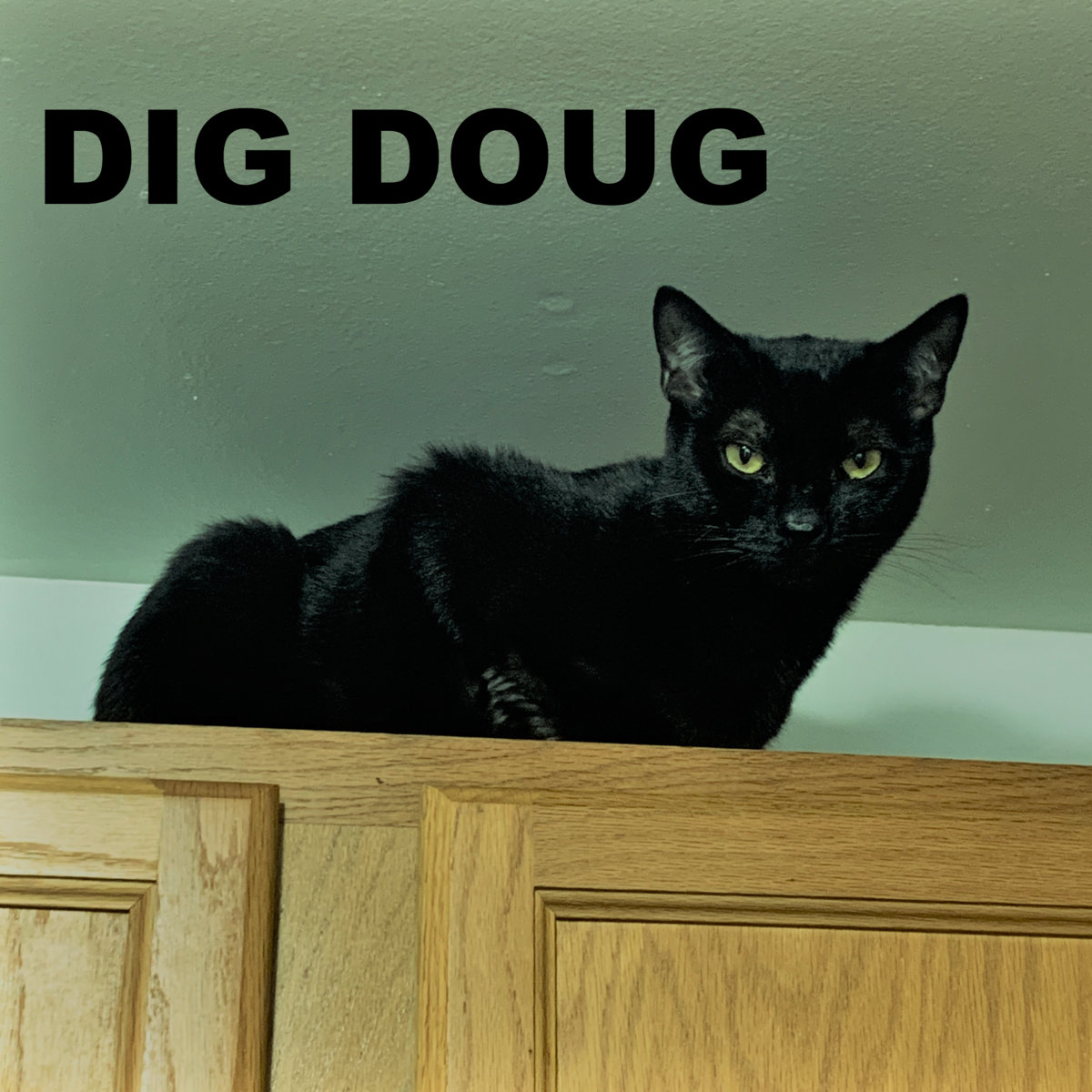Dig Doug | Doug