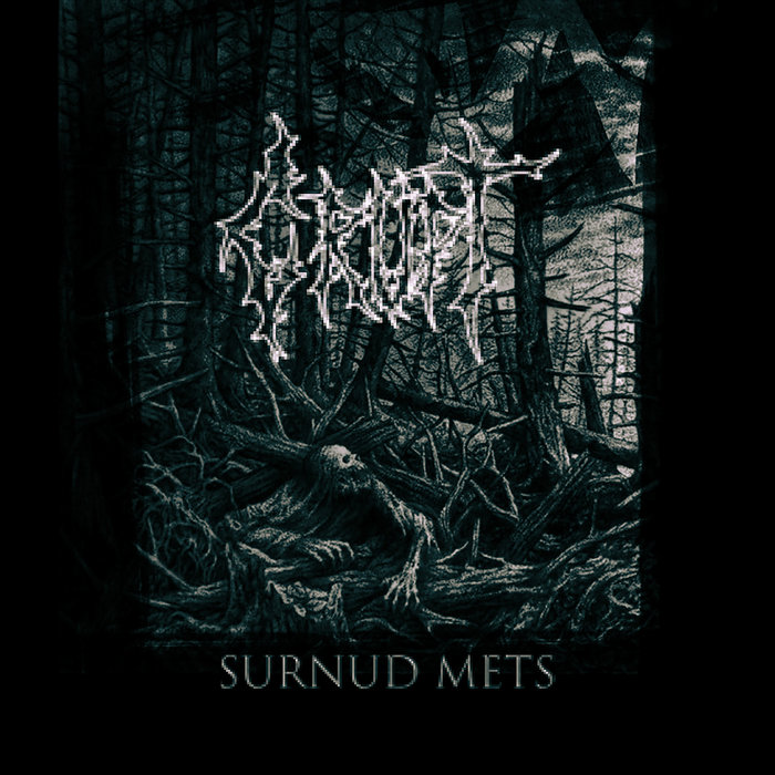 surnud mets | krüpt
