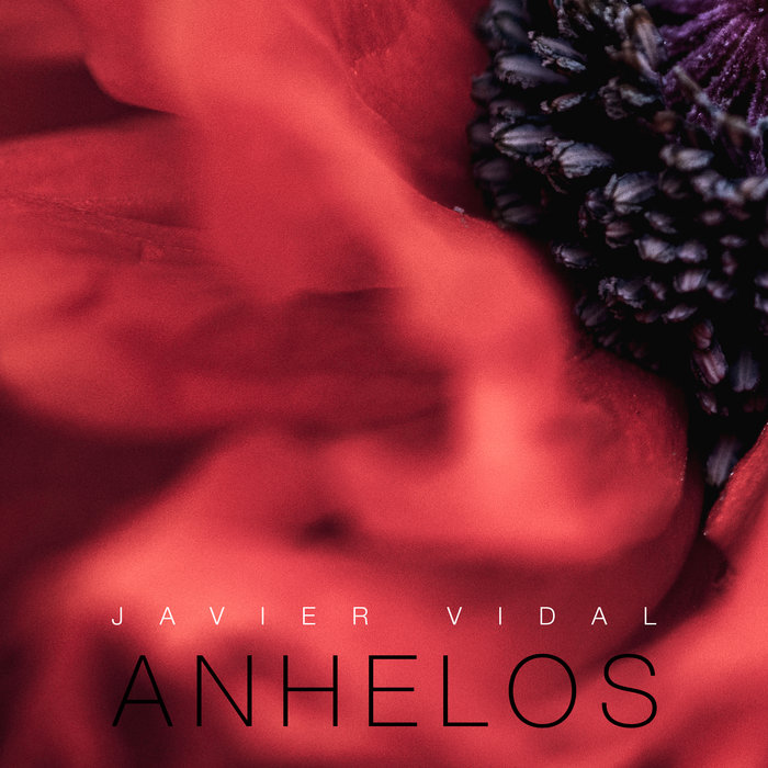Anhelos | Javier Vidal