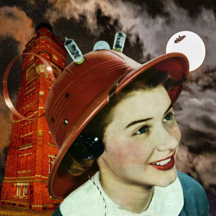 Radio Hat | Obsidian Plum