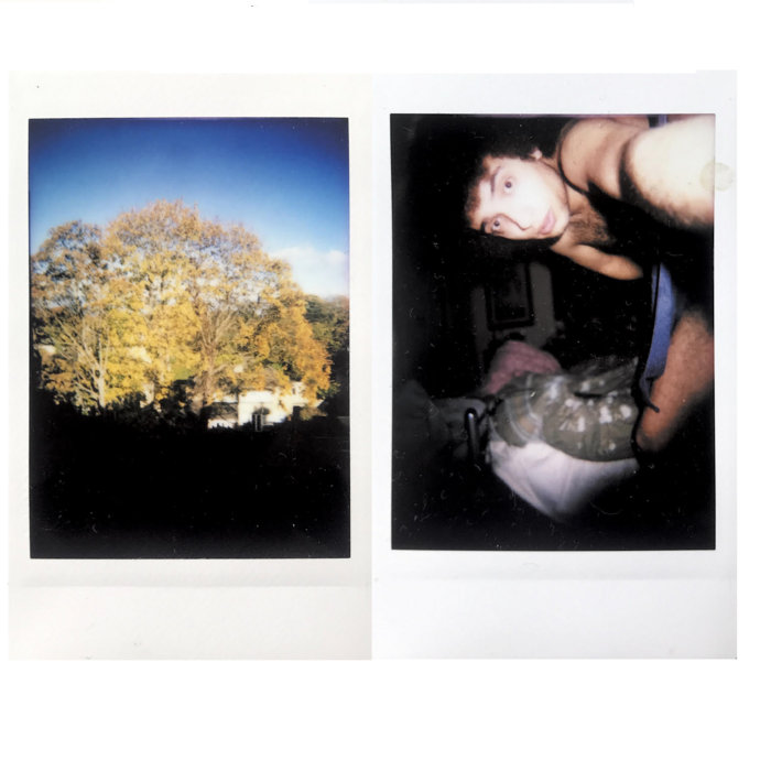 i saw an autumn tree | Auden