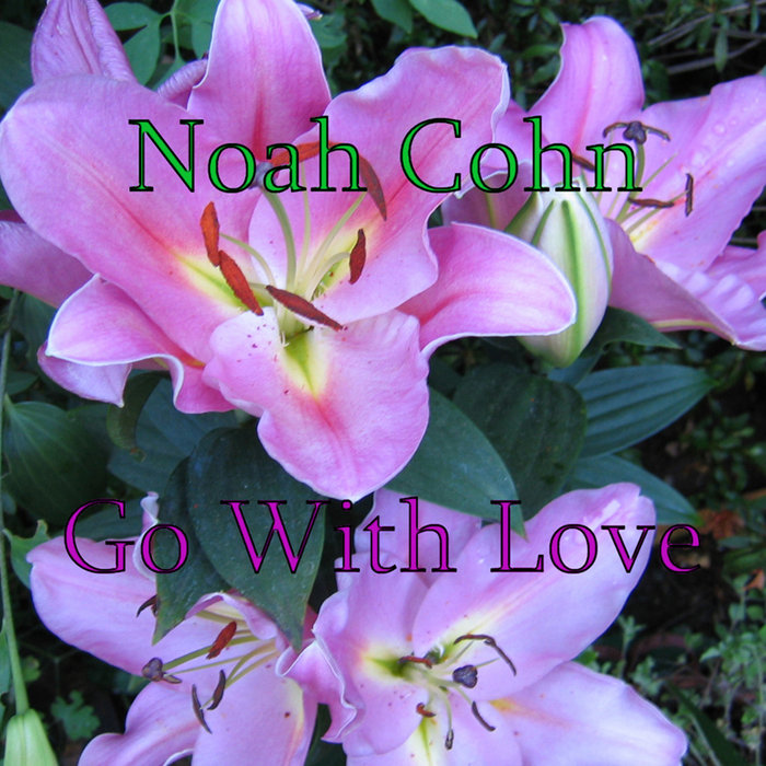 Go With Love | Noah Cohn