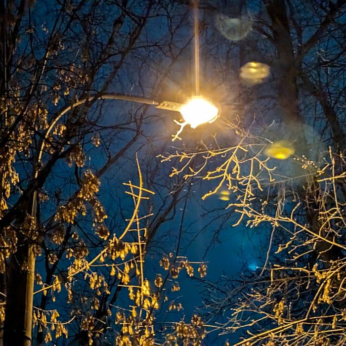 sounds | Raymond Berry