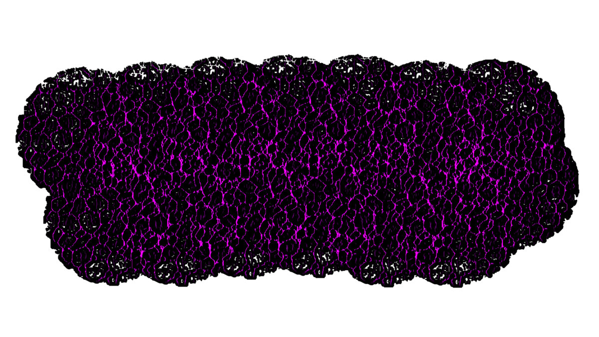 Purple Gunk | Introvert