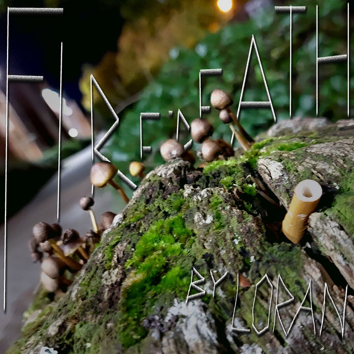 Fire = Death | Loran