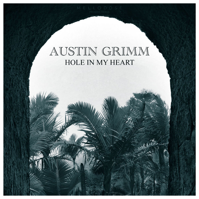 Hole In My Heart | Austin Grimm