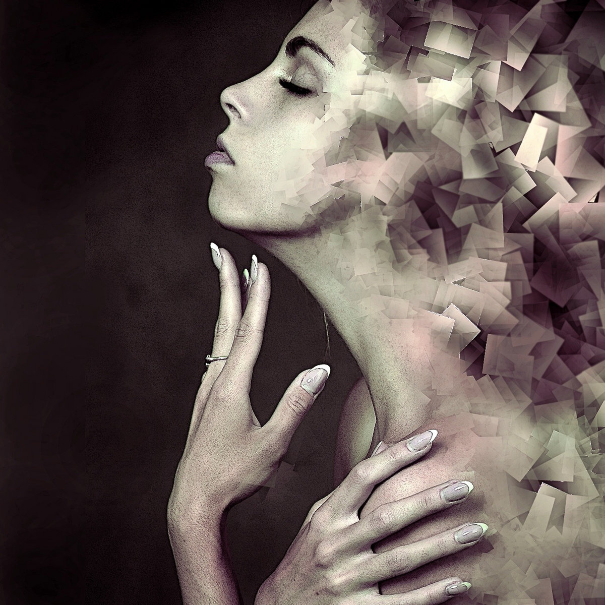 Bagatelles | Andrew Shiels