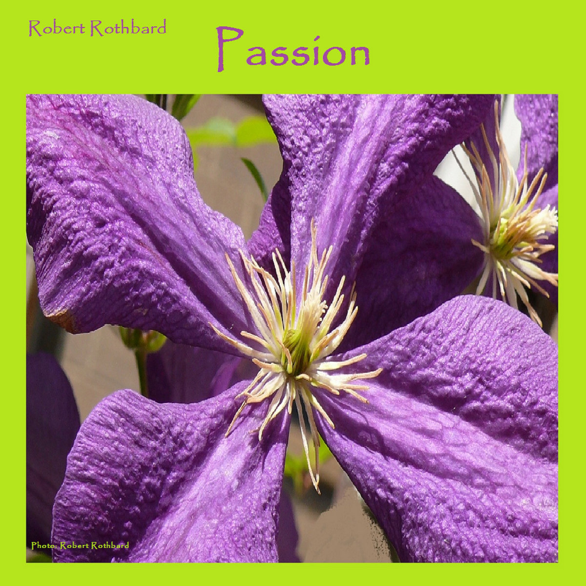 Passion | Robert Rothbard