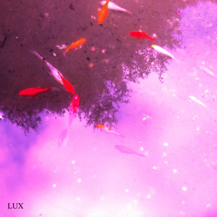 Life Support | Lux