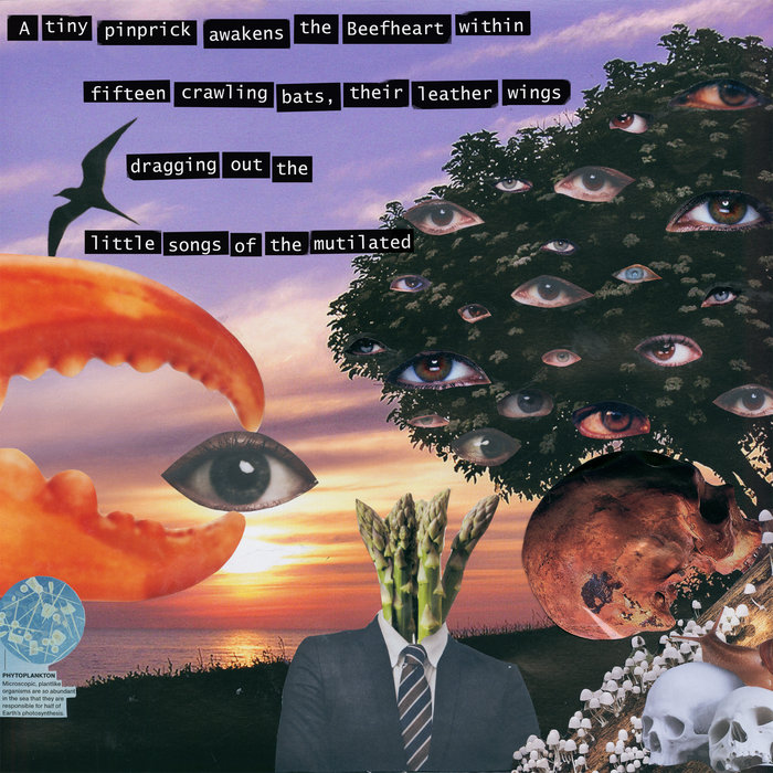 A tiny pinprick awakens the Beefheart within fifteen crawling bats ...