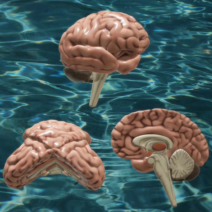 subtle ambient 1compilation | flatulation | Flatulation