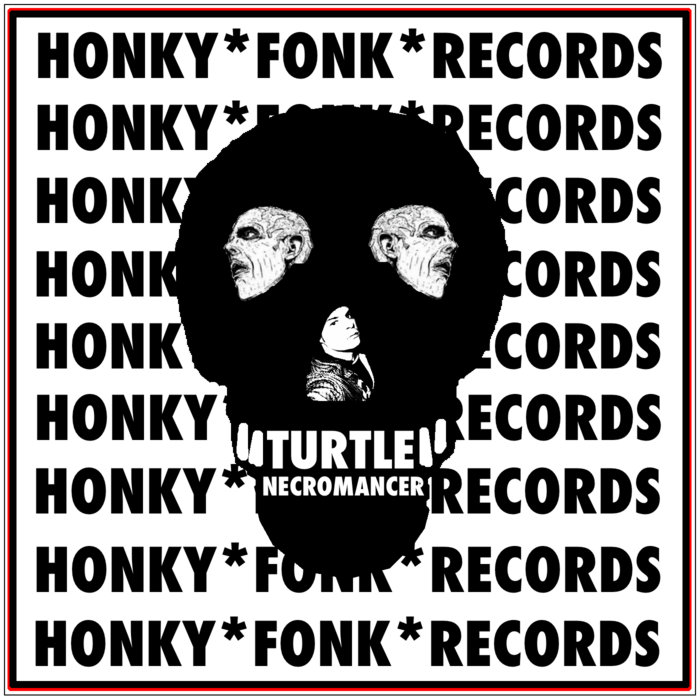 NoMo | Turtle Necromancer