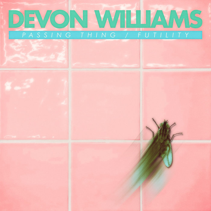 Passing Thing | Devon Williams