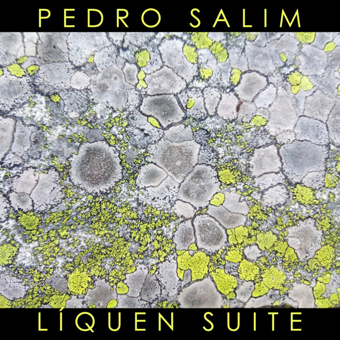 LÍQUEN SUITE | PEDRO SALIM